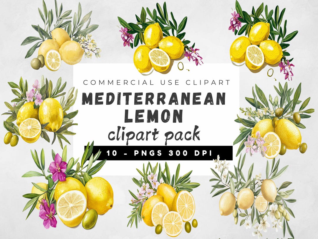 Watercolor Lemon Clipart Bundle, Lemon Graphics Illustration ...