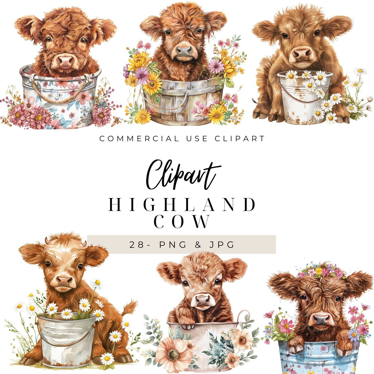 Highland Cows Clipart Bundle, 28 PNG and JPG Adorable Highland Cattles ...