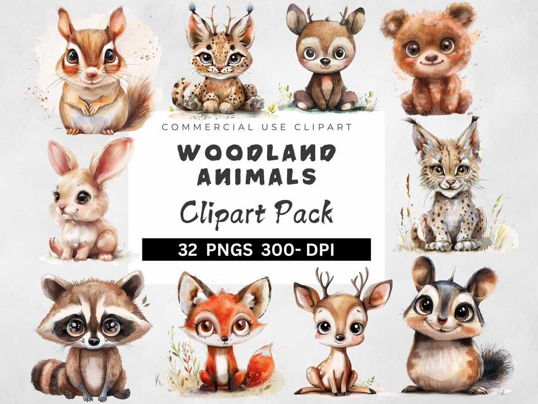 Woodland Animal Clipart, Watercolor Woodland Animals, Cute Woodland ...