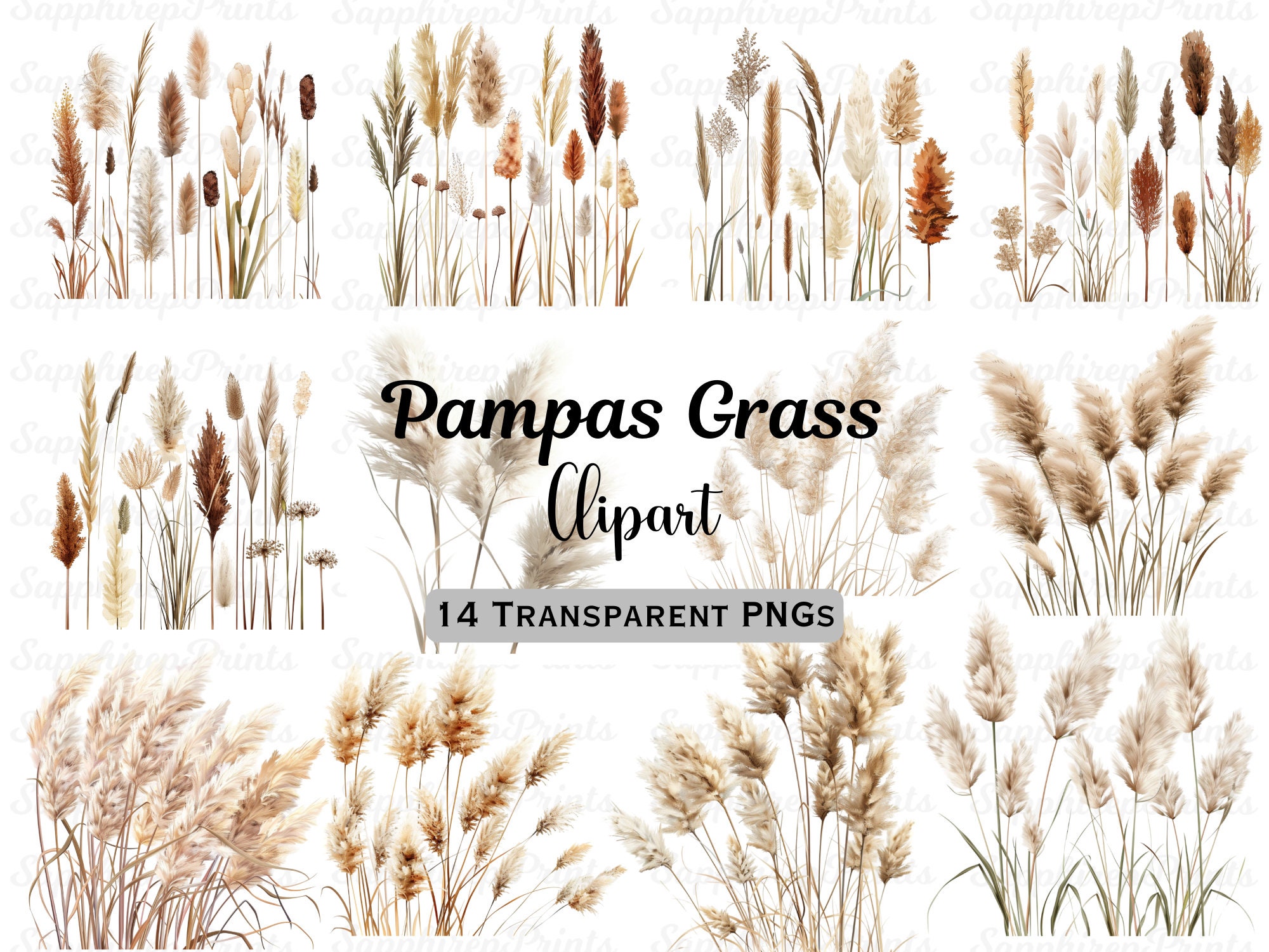 14 Pampas Grass Clipart, Boho Clipart Bundle, Boho Wedding Clipart ...