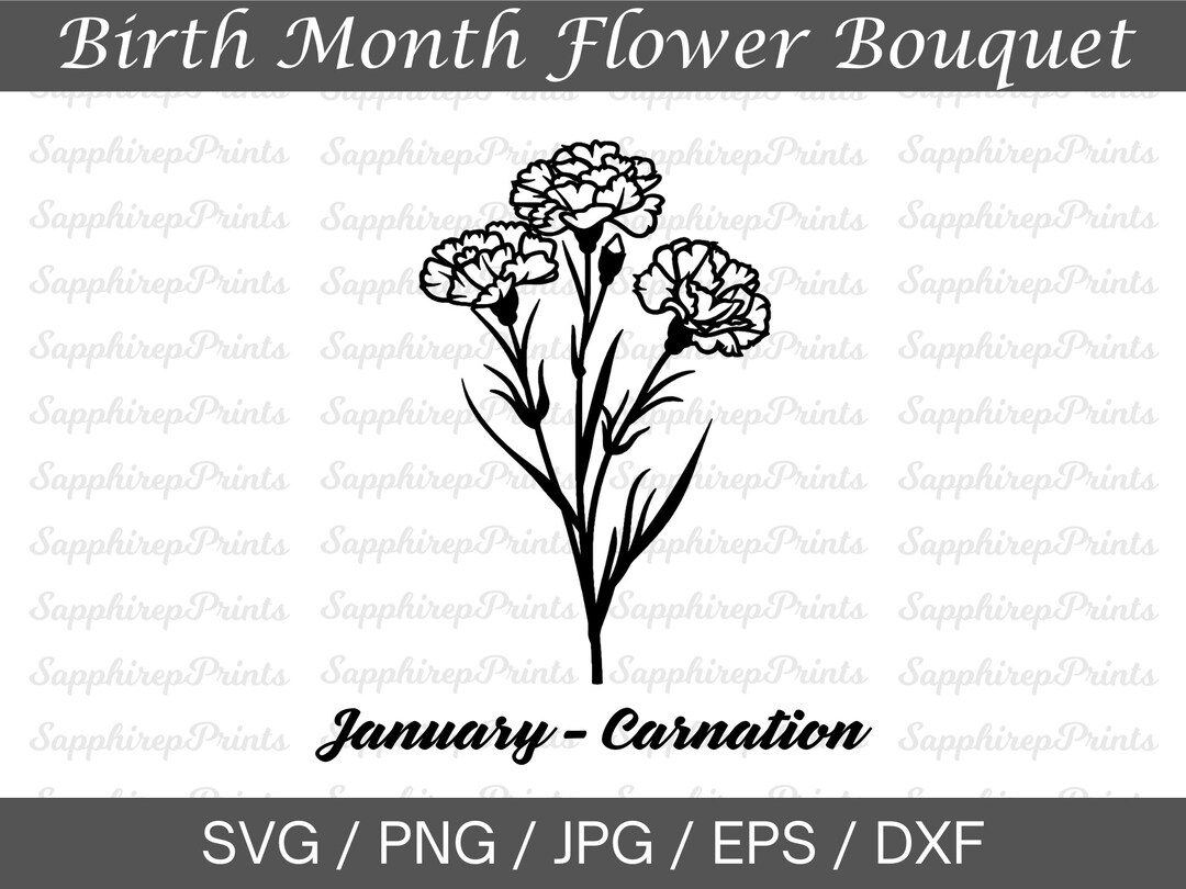 Birth Month Flower Bouquet Svg, Carnation Svg File for January Birth ...