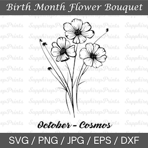 Cosmos Flower Svg, Cosmos Flower Png, October Birth Flower, Birth Month ...