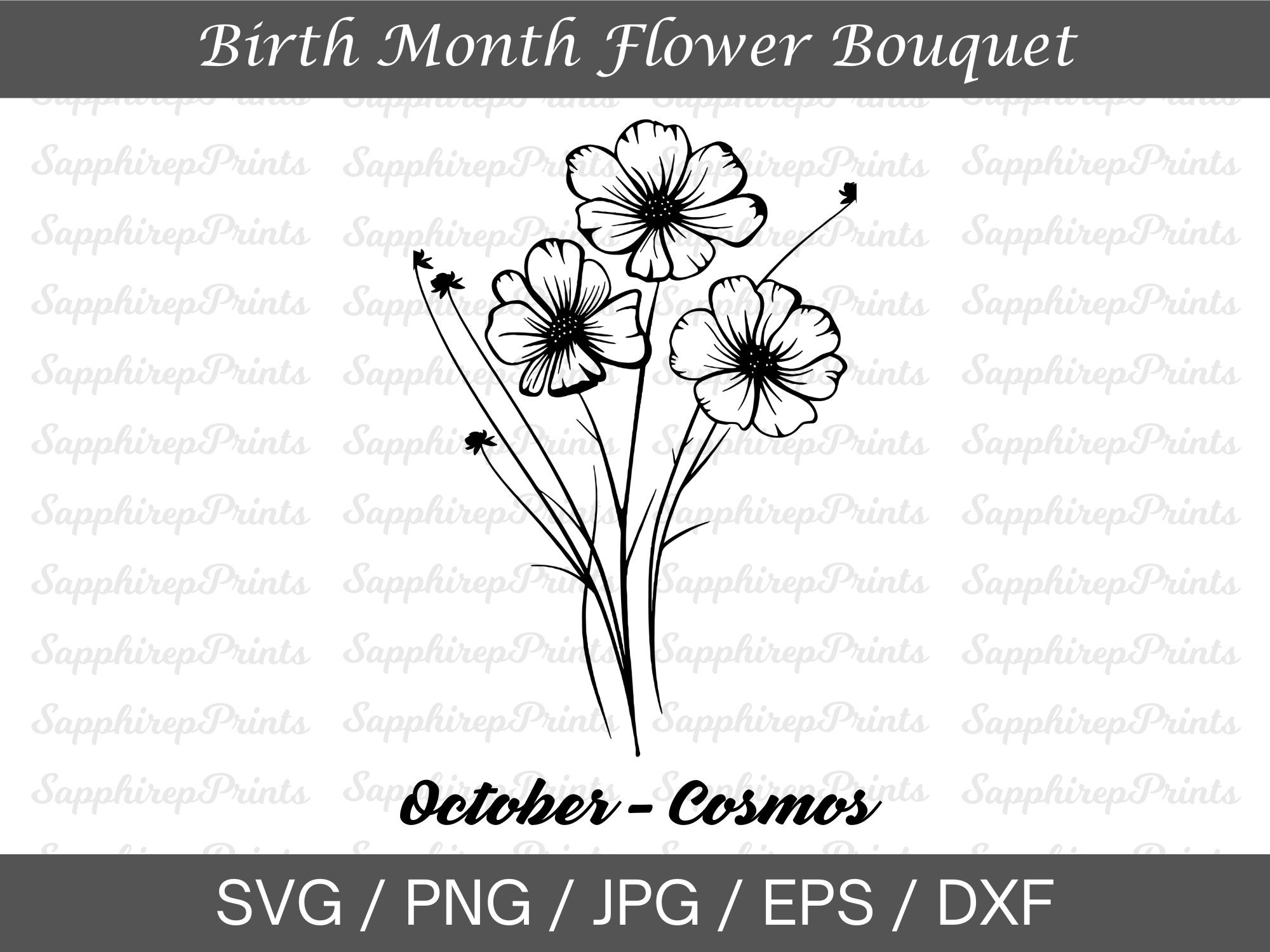 Cosmos Flower Svg, Cosmos Flower Png, October Birth Flower, Birth Month ...