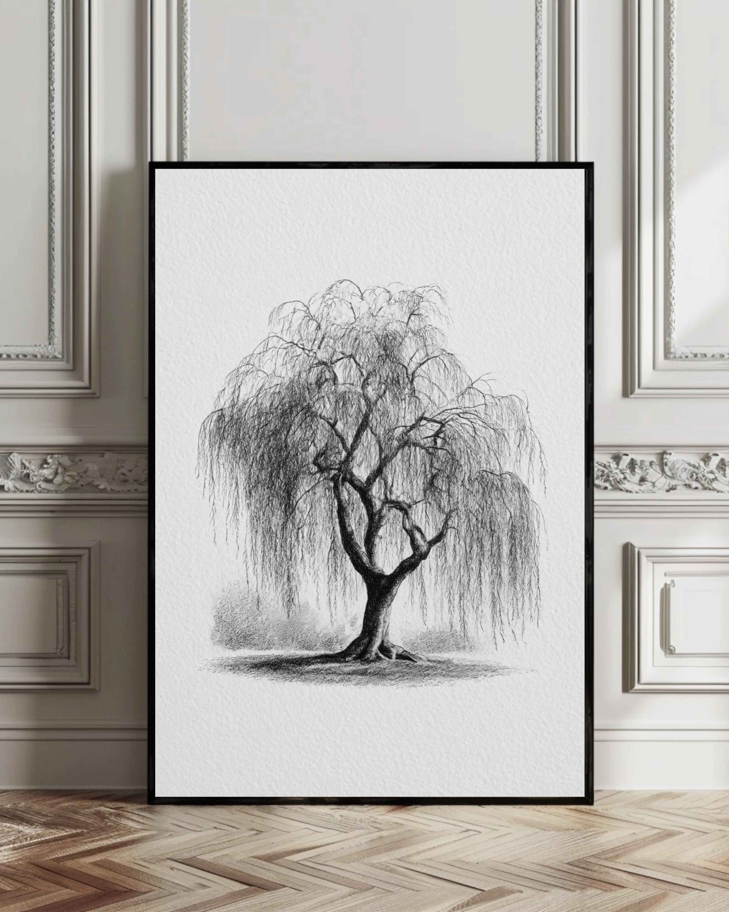 Willow Tree Pencil Sketch Art: Calm Nature Drawing (digital Printable ...