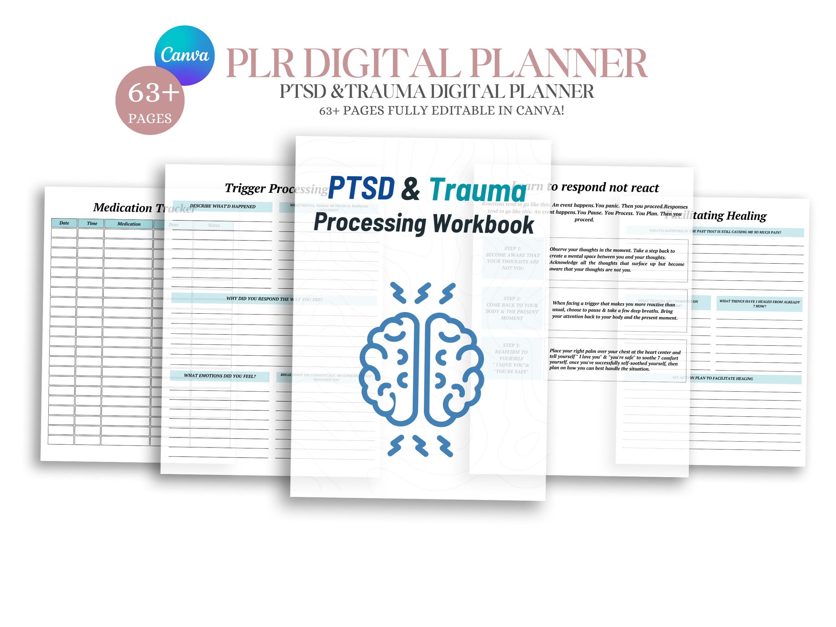PLR PTSD & Trauma Processing Digital Planner, Editable in Canva ...