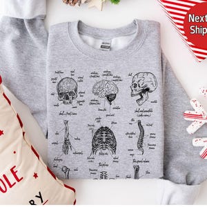 Human Skeleton Anatomy Sweatshirt, Unisex Medical Hoodie, Human Body ...