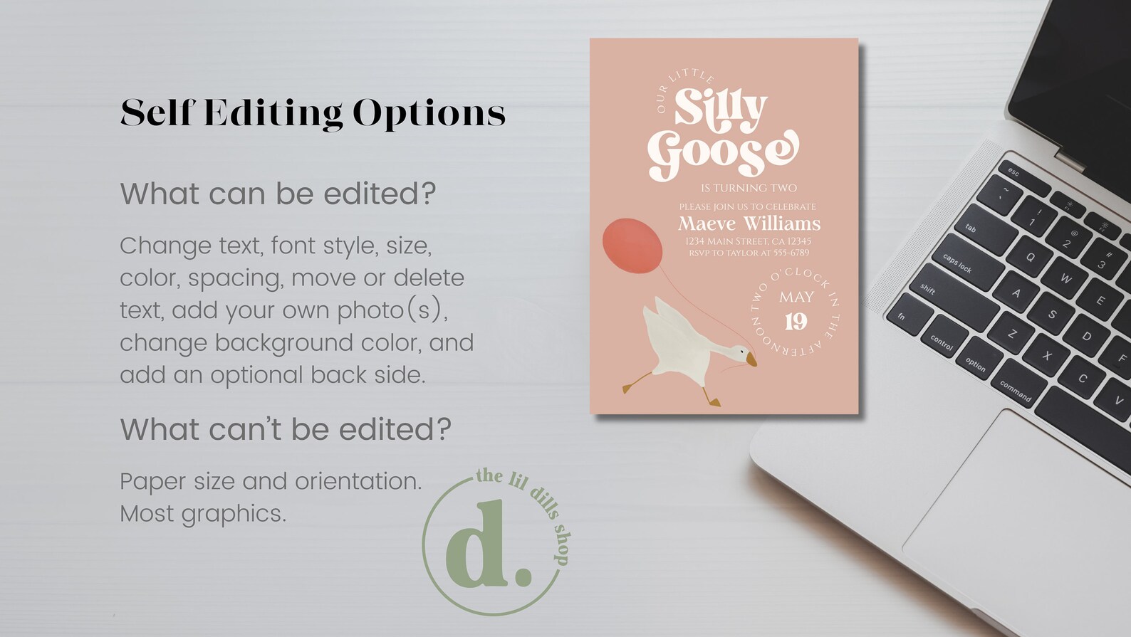 Silly Goose Birthday Invitation, Girl Goose Birthday Invite, Mother ...