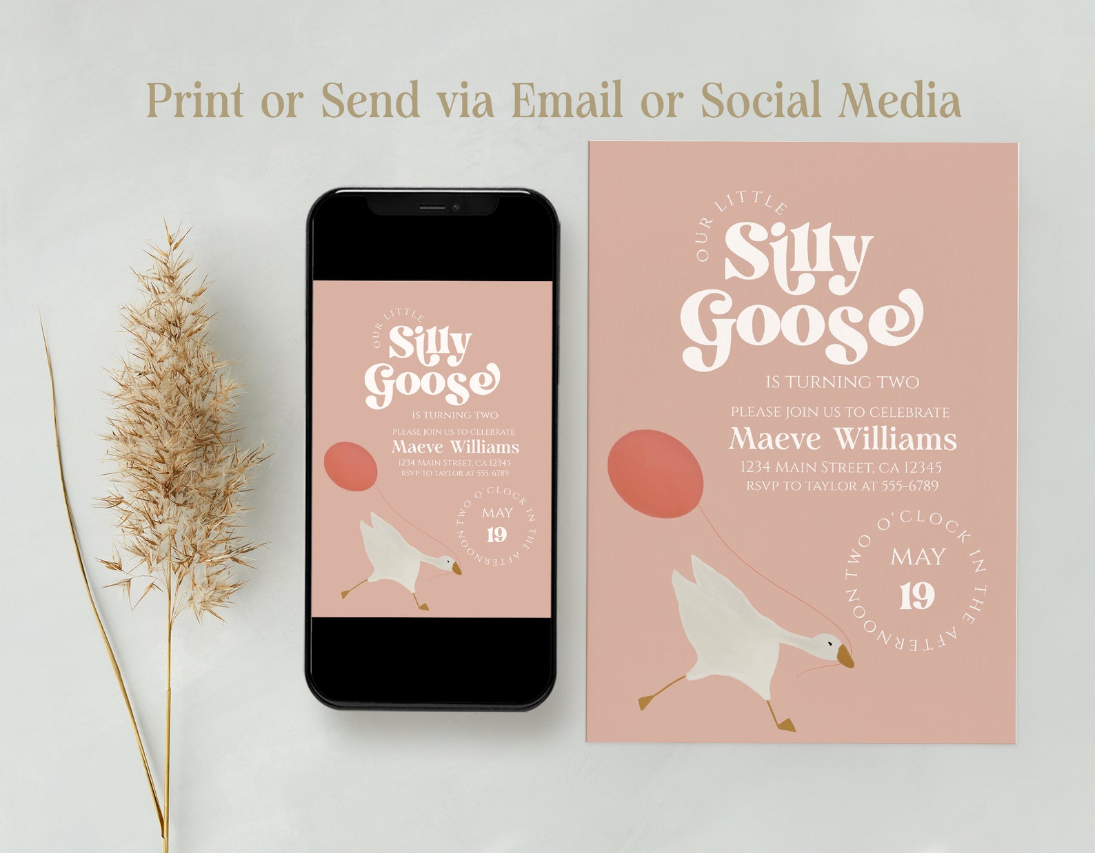 Silly Goose Birthday Invitation, Girl Goose Birthday Invite, Mother ...