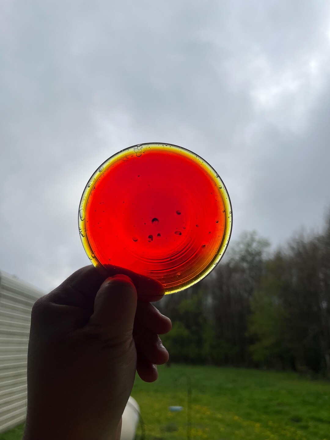Red Orange and Yellow Stained Glass Rondel 4” - Etsy