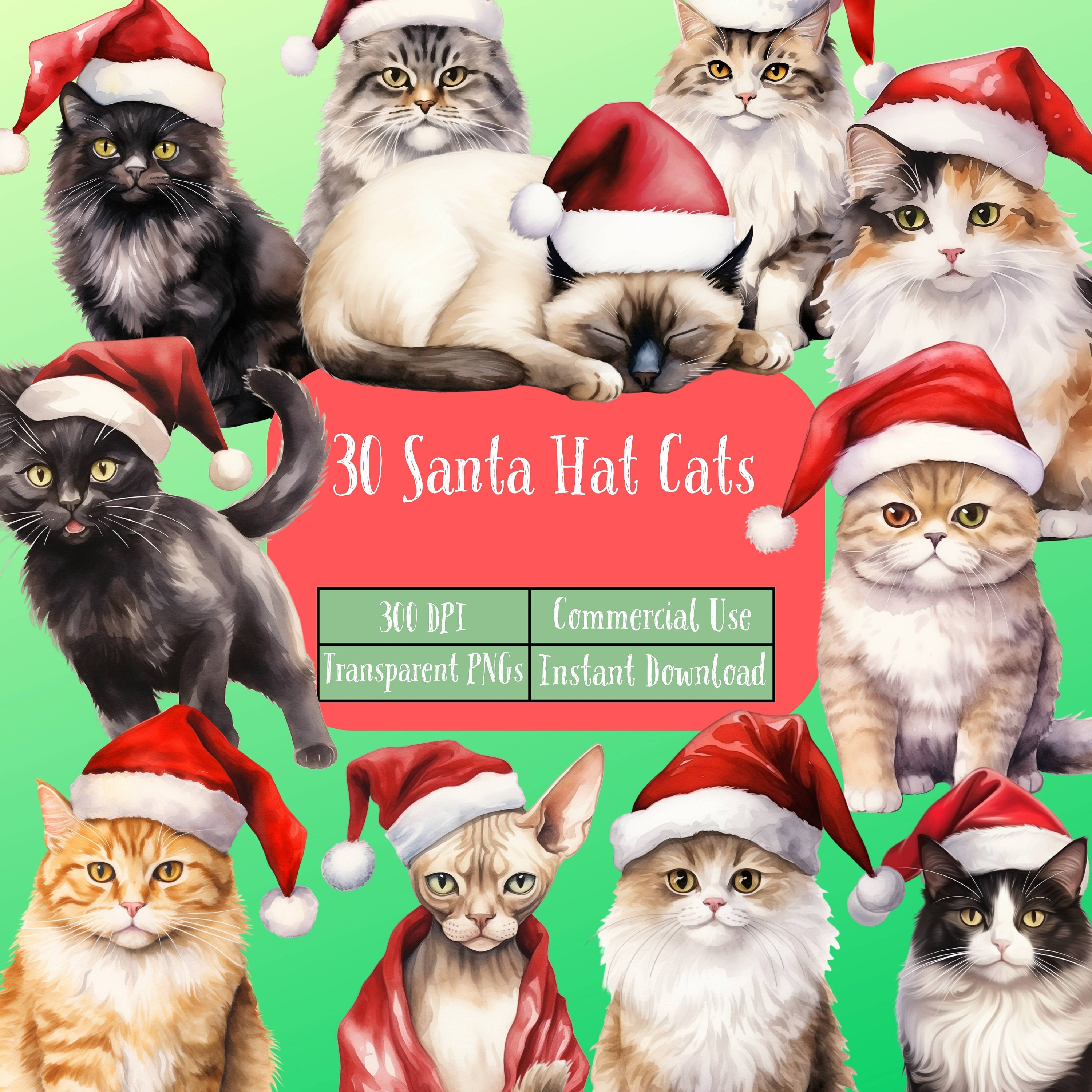 Santa Hat Cats Bundle Christmas Animal PNG Watercolor Cat - Etsy