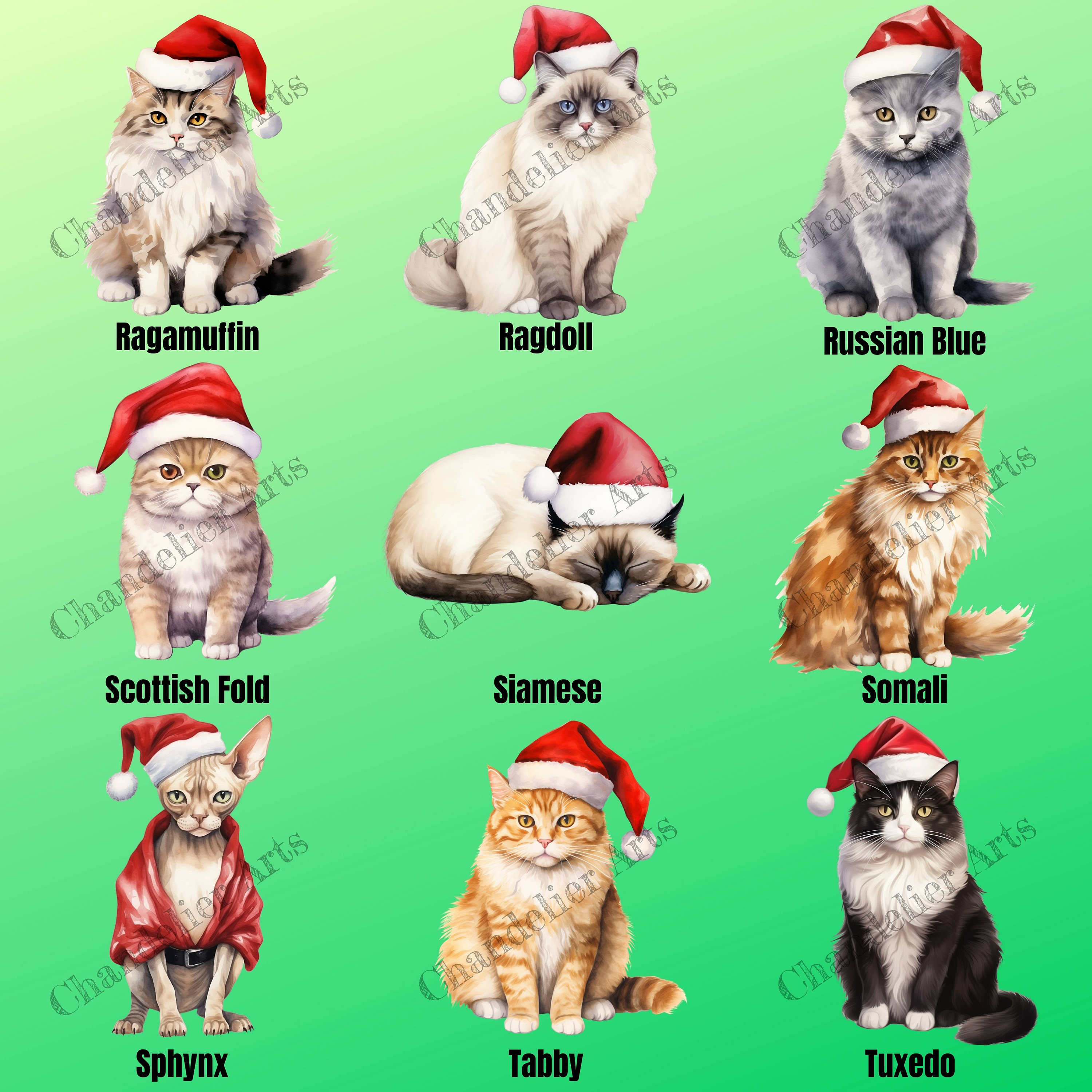 Santa Hat Cats Bundle Christmas Animal PNG Watercolor Cat - Etsy