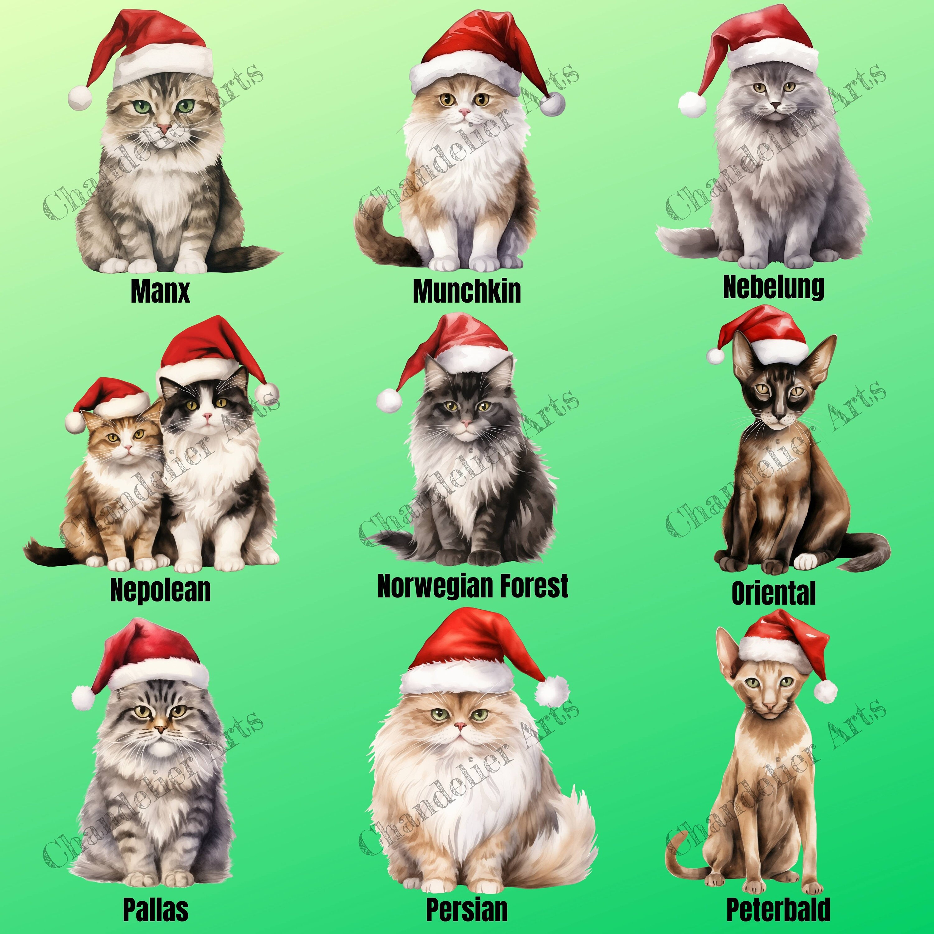 Santa Hat Cats Bundle Christmas Animal PNG Watercolor Cat - Etsy