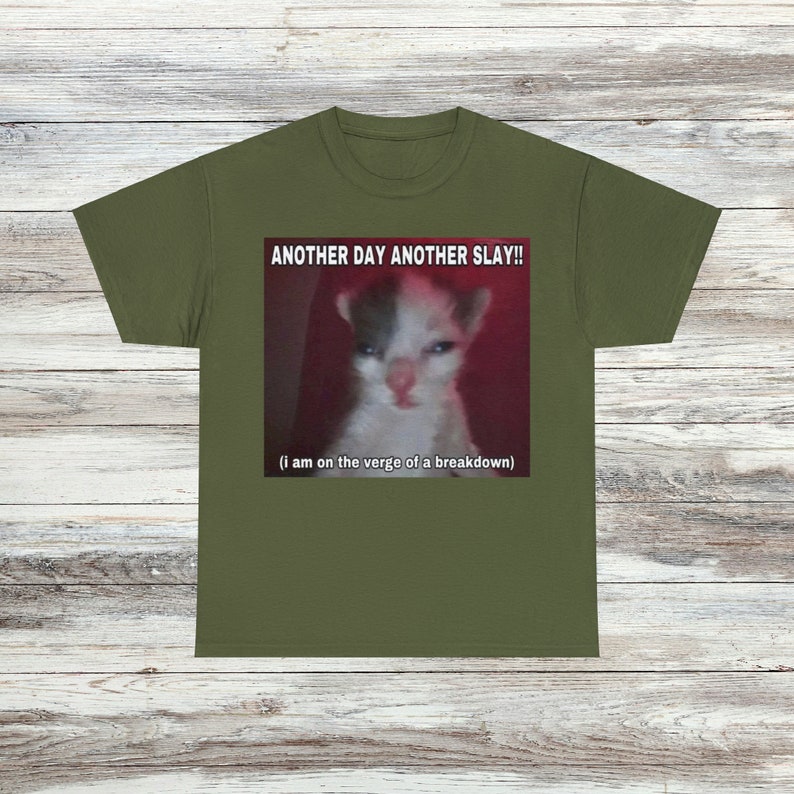 Another Day Another Slay Unisex Male or Female Cotton Tee 6 Colors ...