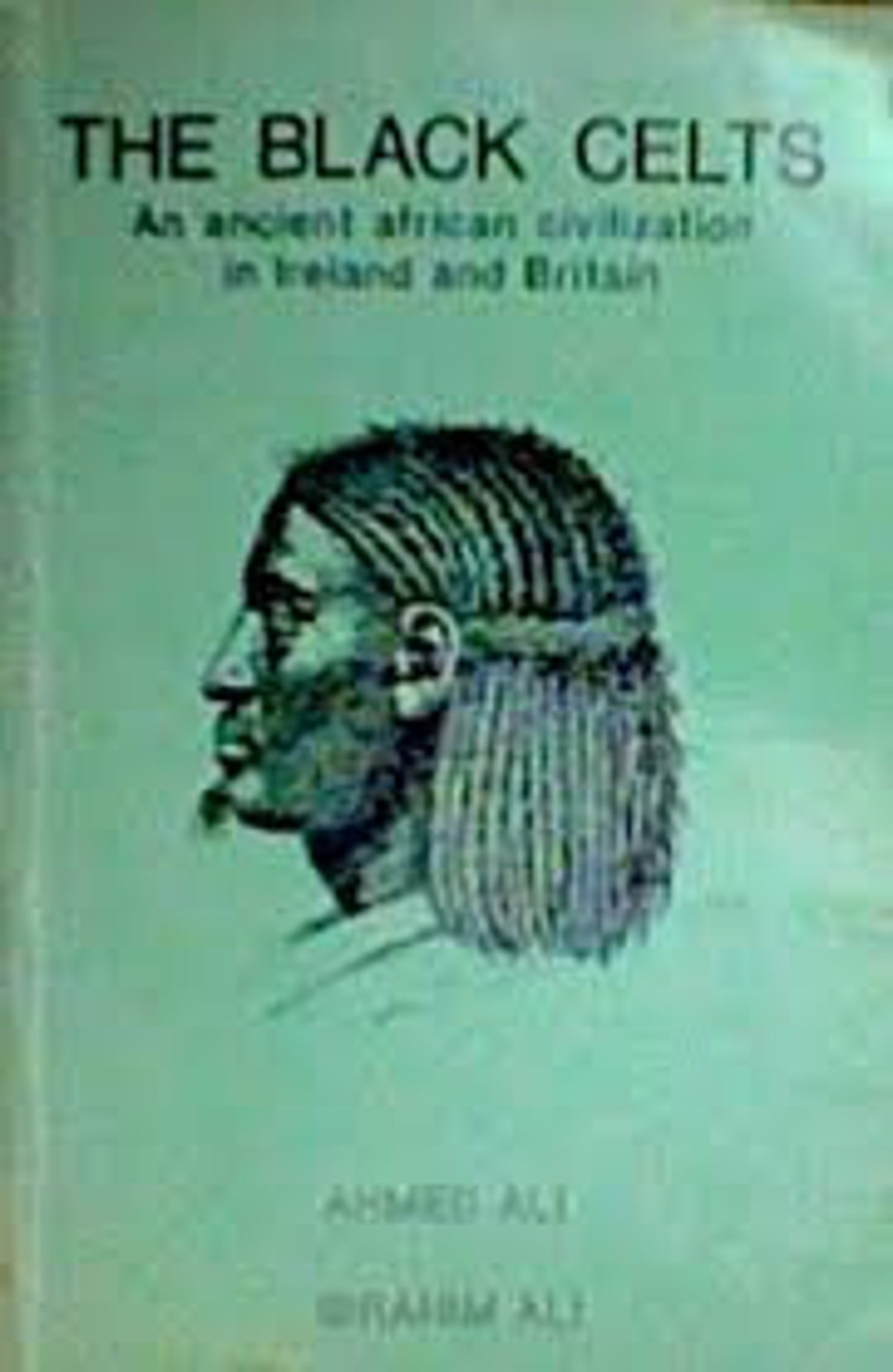 The Black Celts: an Ancient African Civilization in Ireland and Britain ...
