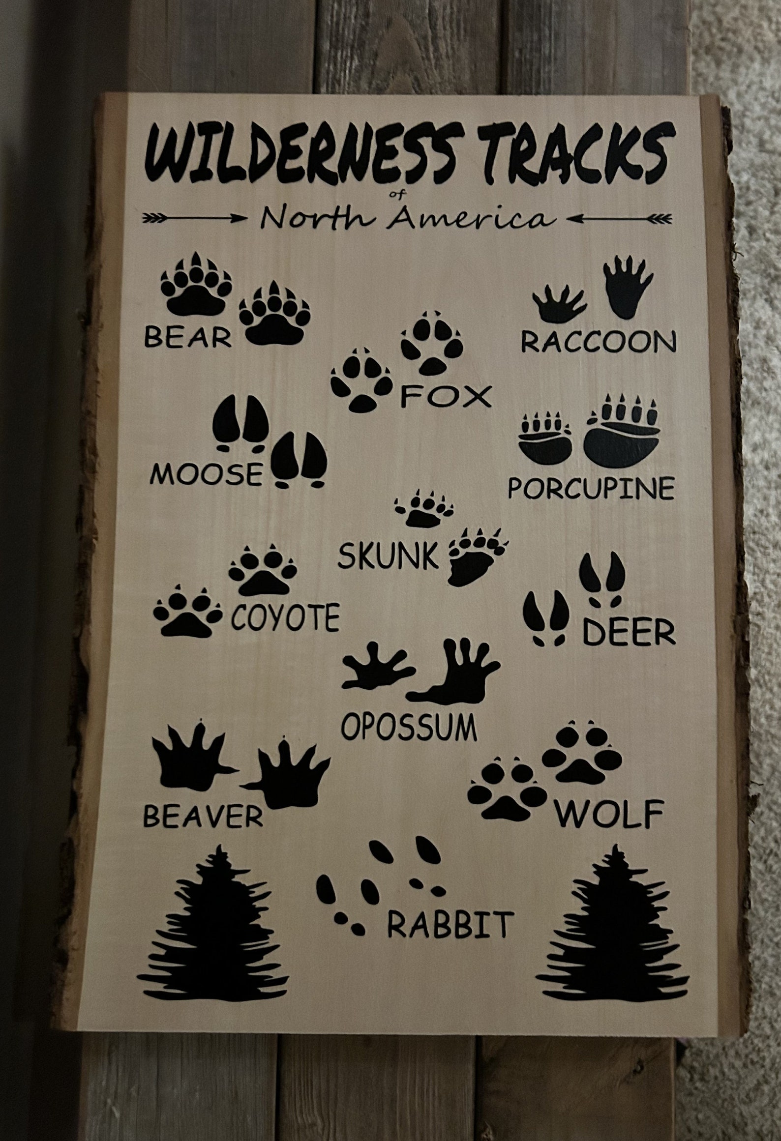Animal Tracks Nature Sign - Etsy