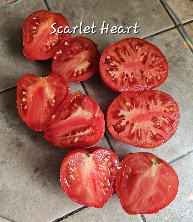 Scarlet Heart Dwarf Tomato, 10 Seeds - Etsy