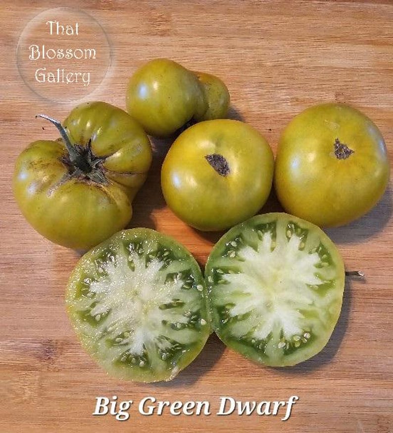 Big Green Dwarf Tomato, 10 Seeds - Etsy
