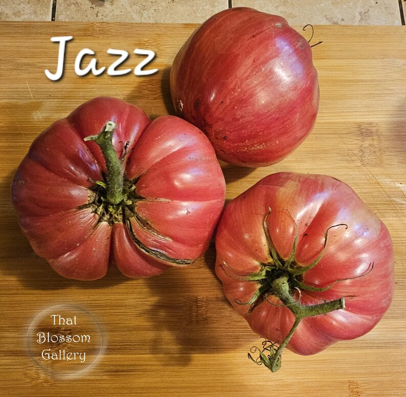 Pink Jazz Tomato Seeds - Etsy