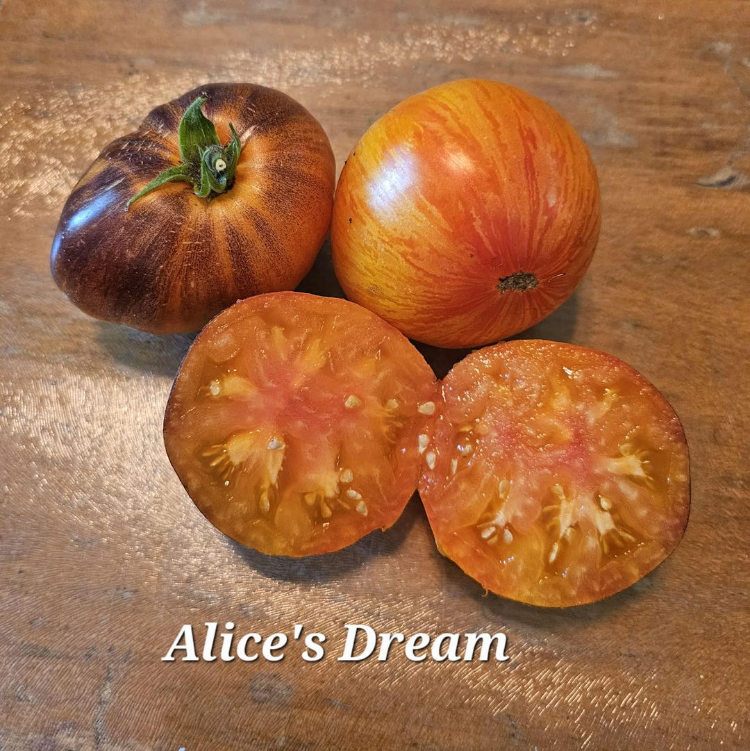Alice’s Dream Tomato, 10 Seeds - Etsy