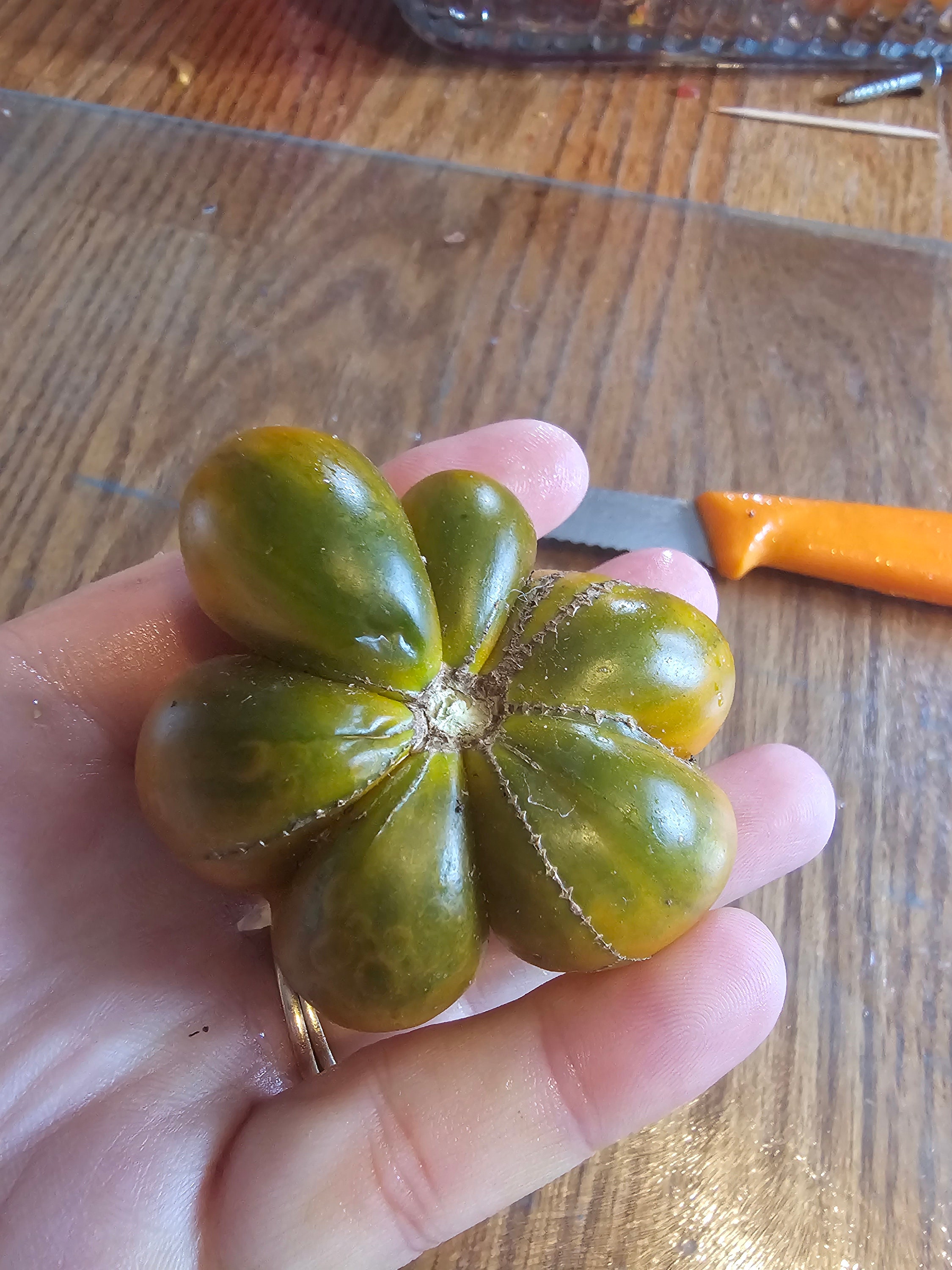 Phil's Two Tomato - Etsy