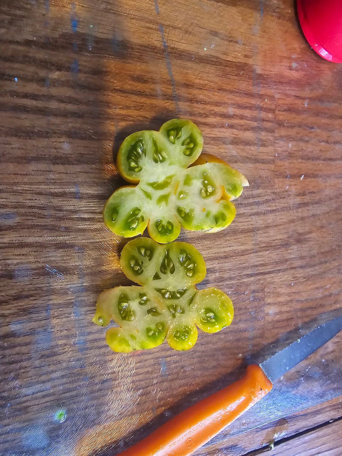 Phil's Two Tomato - Etsy