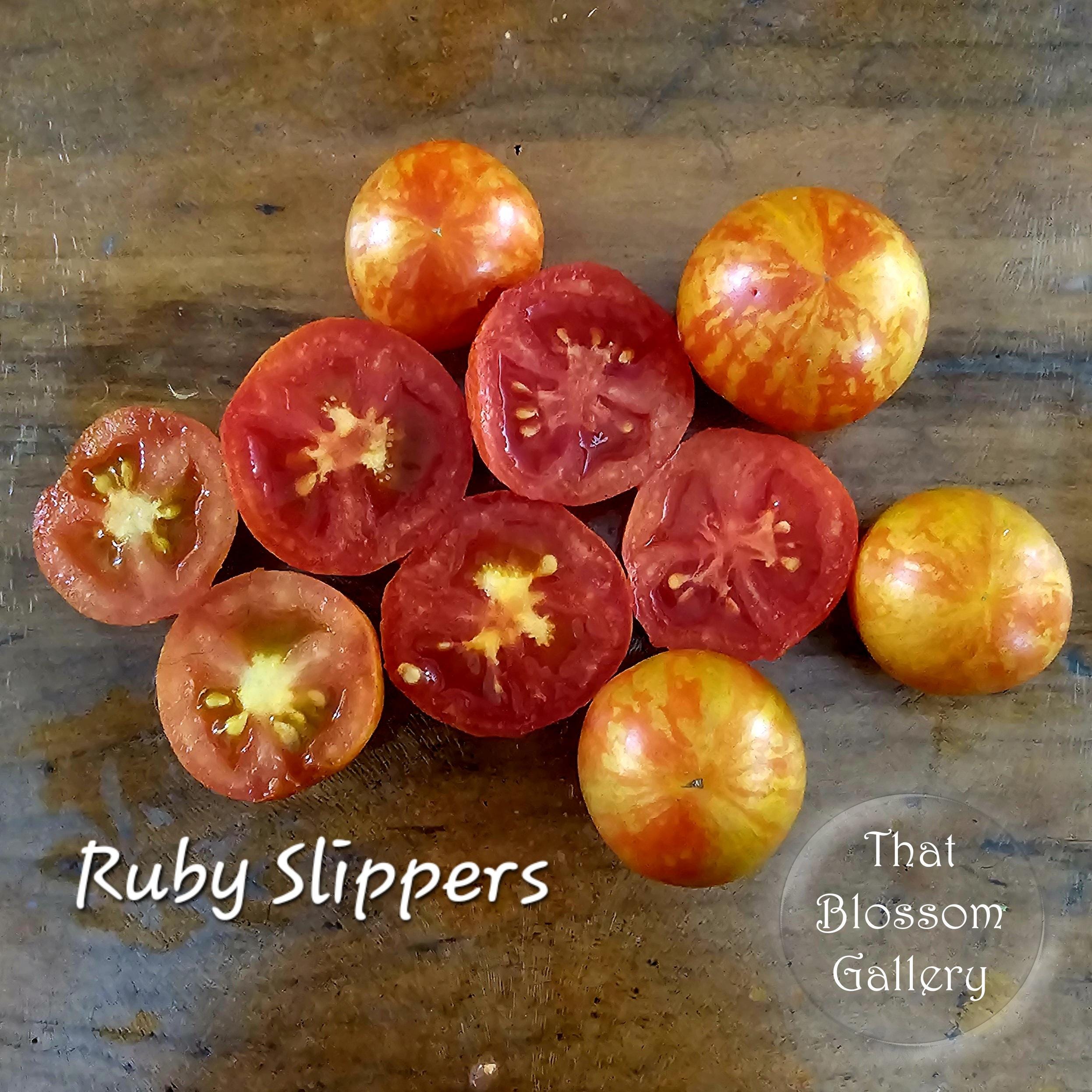 Ruby Slippers Dwarf Tomato Seeds - Etsy