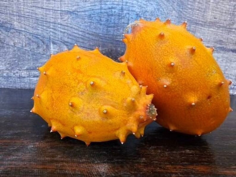 Kiwano, African Horned Cucumber, Jelly Melon Seeds - Etsy
