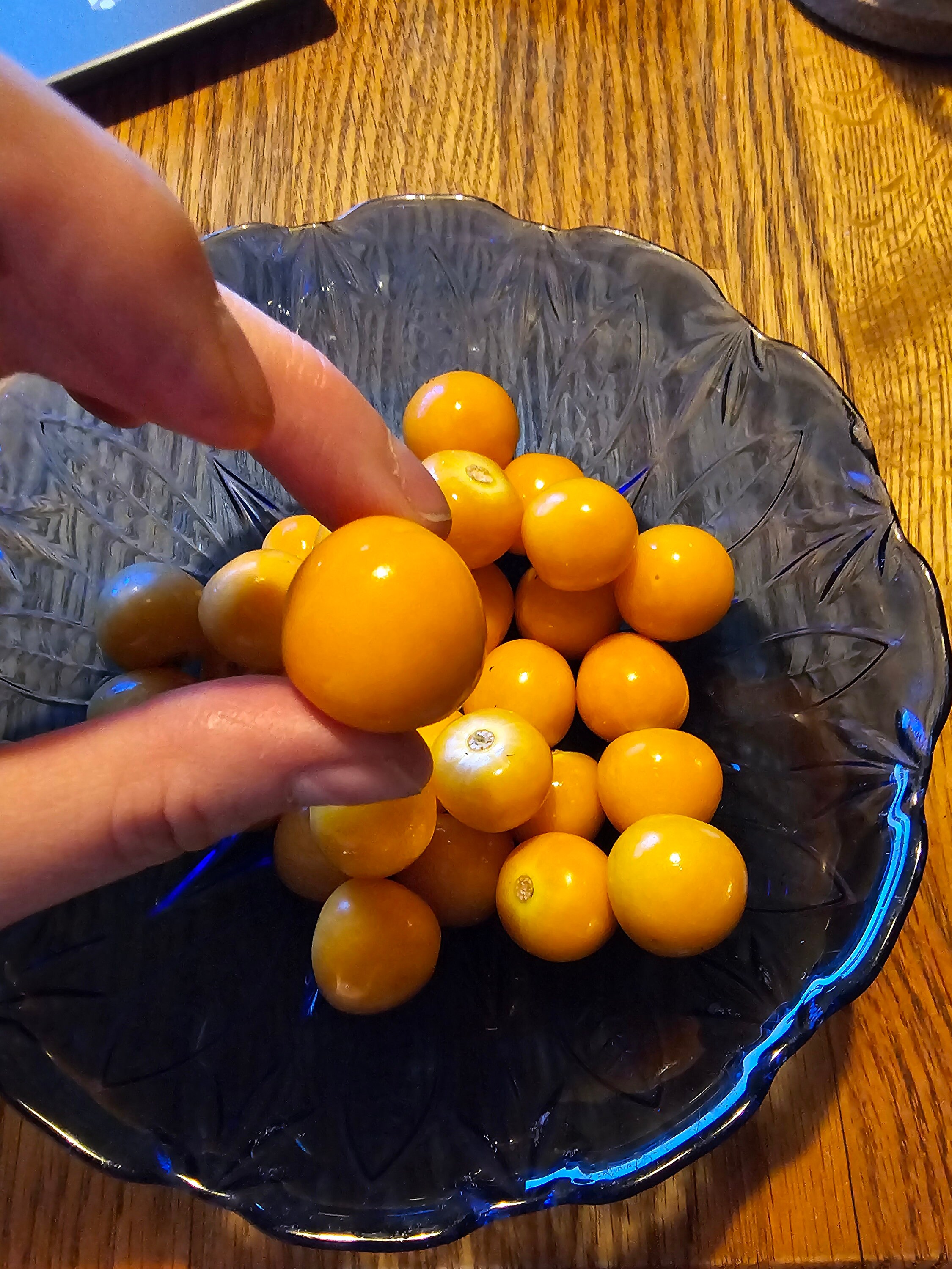 Cape Gooseberry, Groundcherry Seeds - Etsy