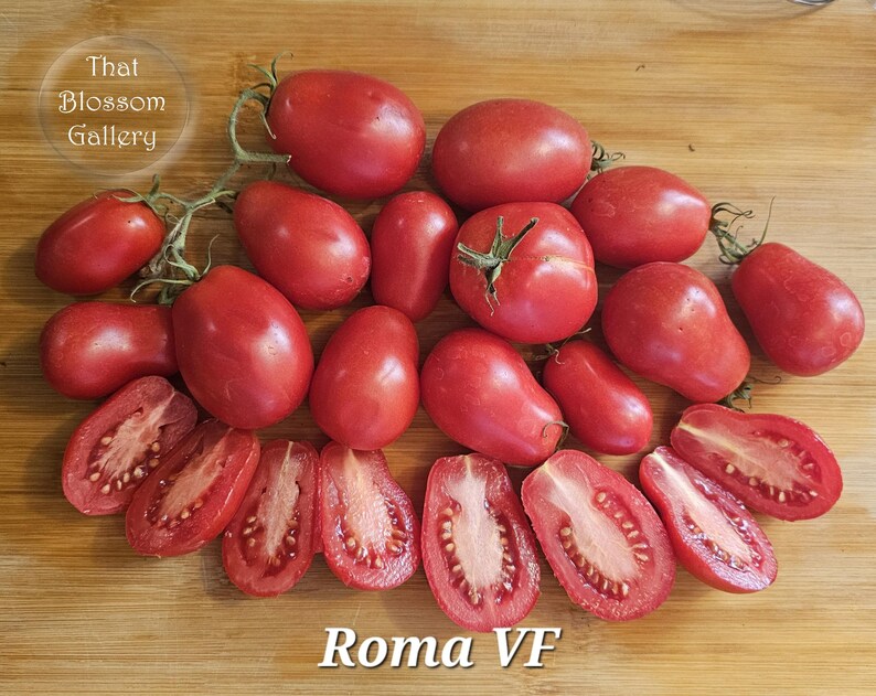 Roma VF, Heirloom Paste Tomato Seeds - Etsy