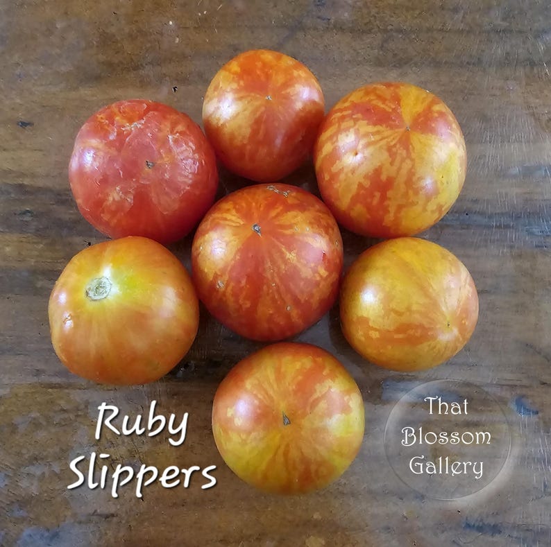 Ruby Slippers Dwarf Tomato Seeds - Etsy