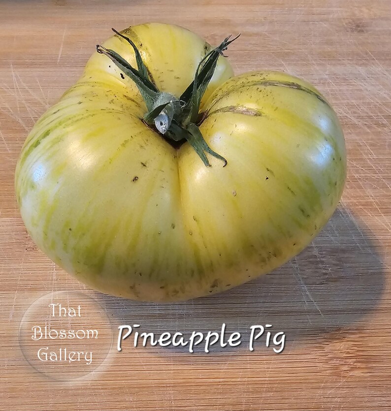 Pineapple Pig Tomato Seeds - Etsy