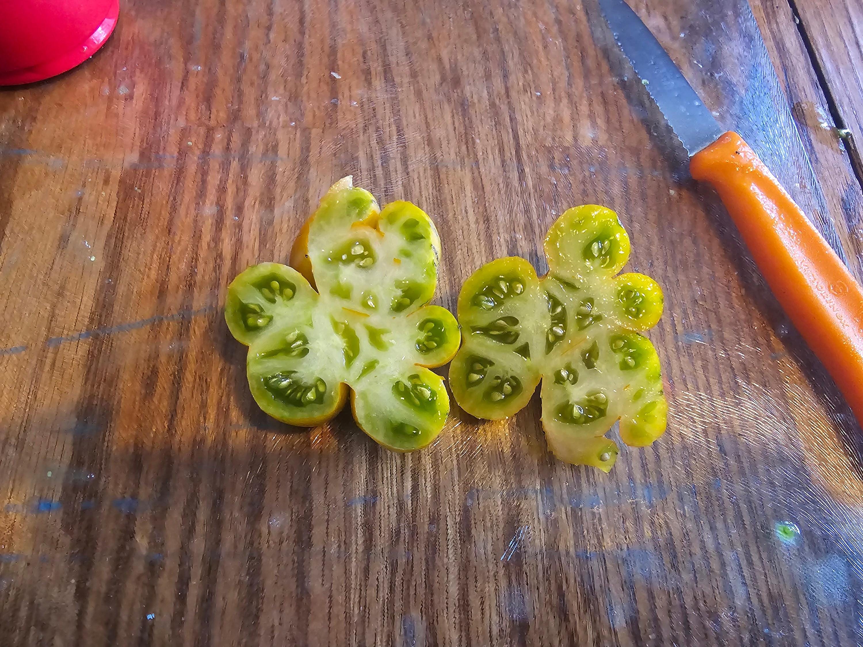 Phil's Two Tomato, 10 Seeds - Etsy