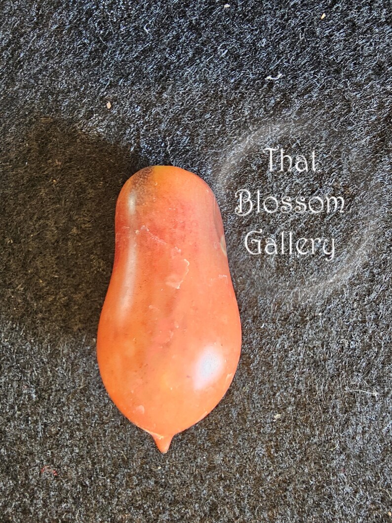 Märchenfee, AKA Fairytale Fairy, 10 Tomato Seeds - Etsy