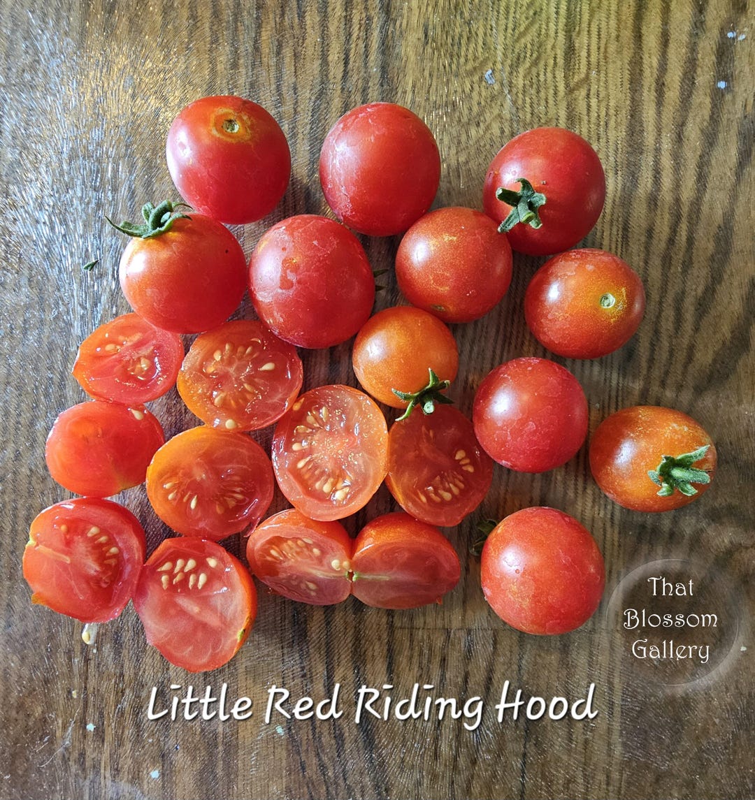 Little Red Riding Hood Micro Dwarf Tomato Seeds - Etsy