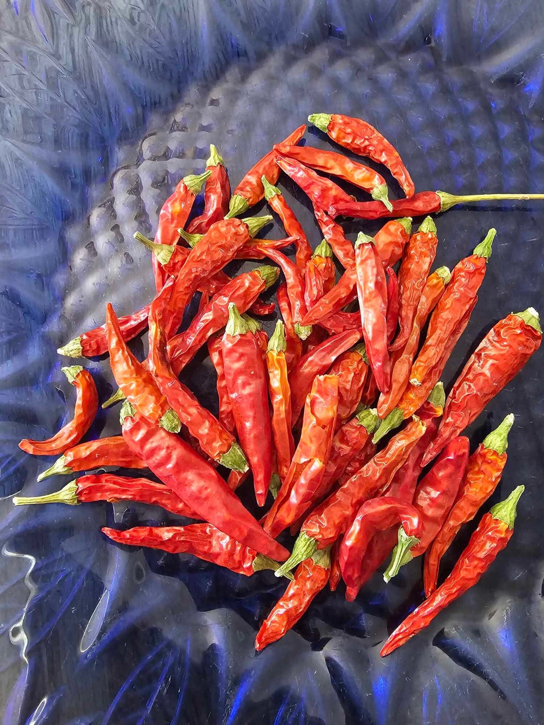 Rawit Thai Chili Seeds, Capsicum Annuum - Etsy