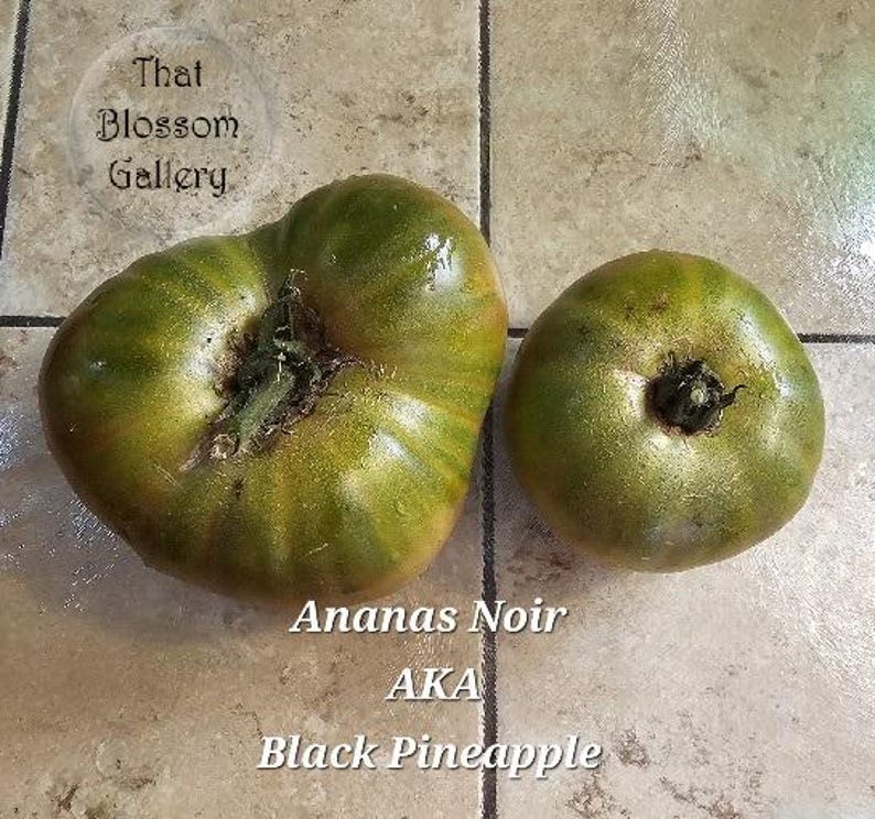 Ananas Noir, Black Pineapple Tomato 20 Seeds - Etsy