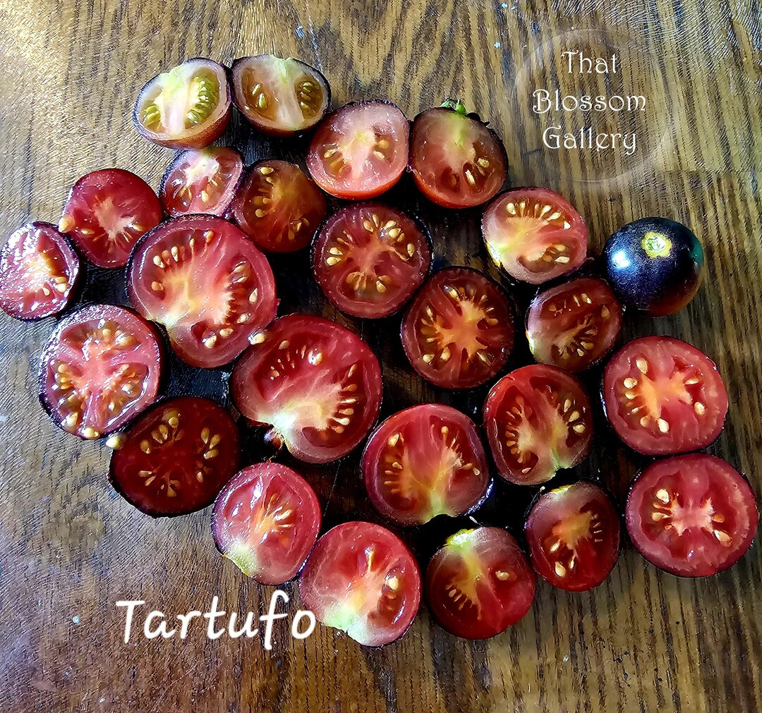 Tartufo Micro-dwarf Tomato, 10 Seeds - Etsy
