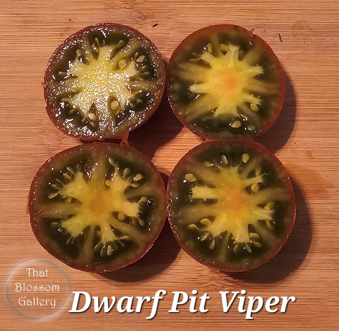 Dwarf Pit Viper Tomato Seeds - Etsy