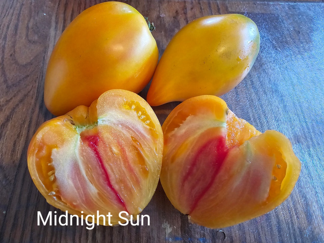 Midnight Sun Tomato, 20 Seeds - Etsy