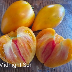 Midnight Sun Tomato, 20 Seeds - Etsy