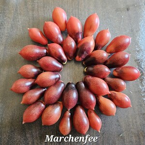 Märchenfee, AKA Fairytale Fairy, 10 Tomato Seeds - Etsy