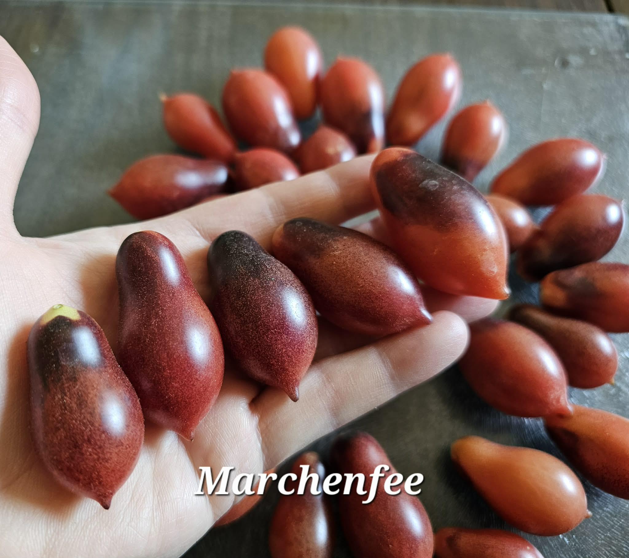 Märchenfee, AKA Fairytale Fairy, 10 Tomato Seeds - Etsy