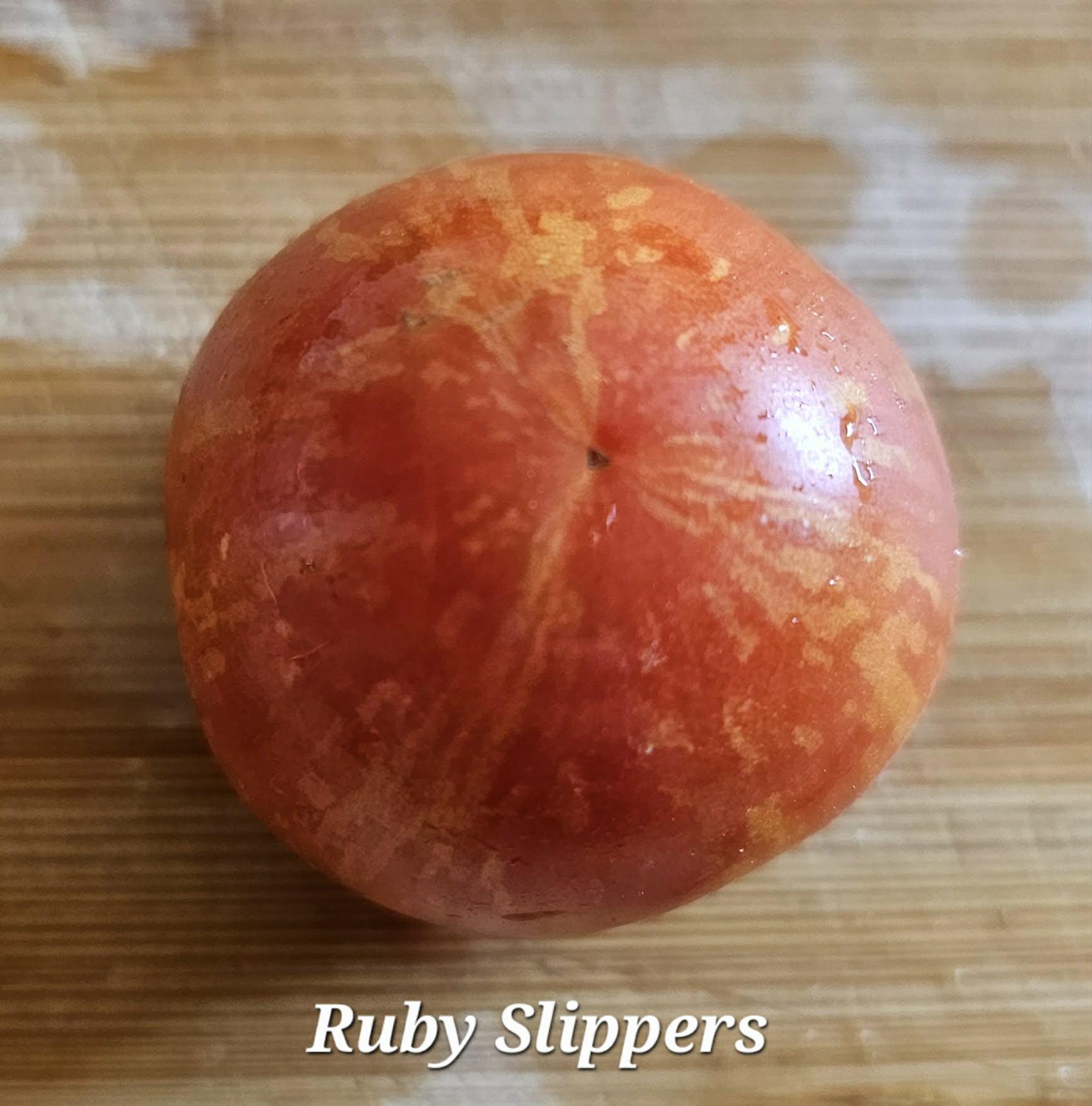 Ruby Slippers Dwarf Tomato, 10 Seeds - Etsy