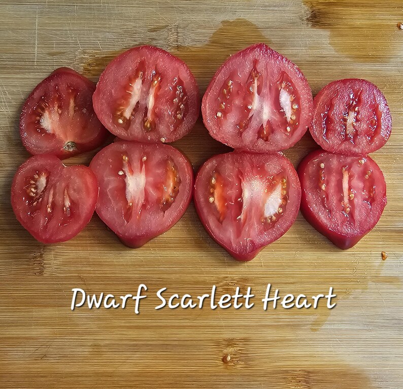 Scarlet Heart Dwarf Tomato, 10 Seeds - Etsy