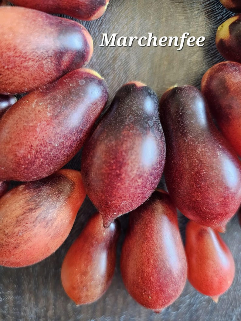 Märchenfee, AKA Fairytale Fairy, 10 Tomato Seeds - Etsy