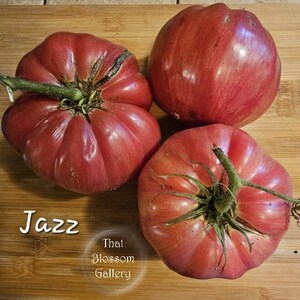 Pink Jazz Tomato Seeds - Etsy
