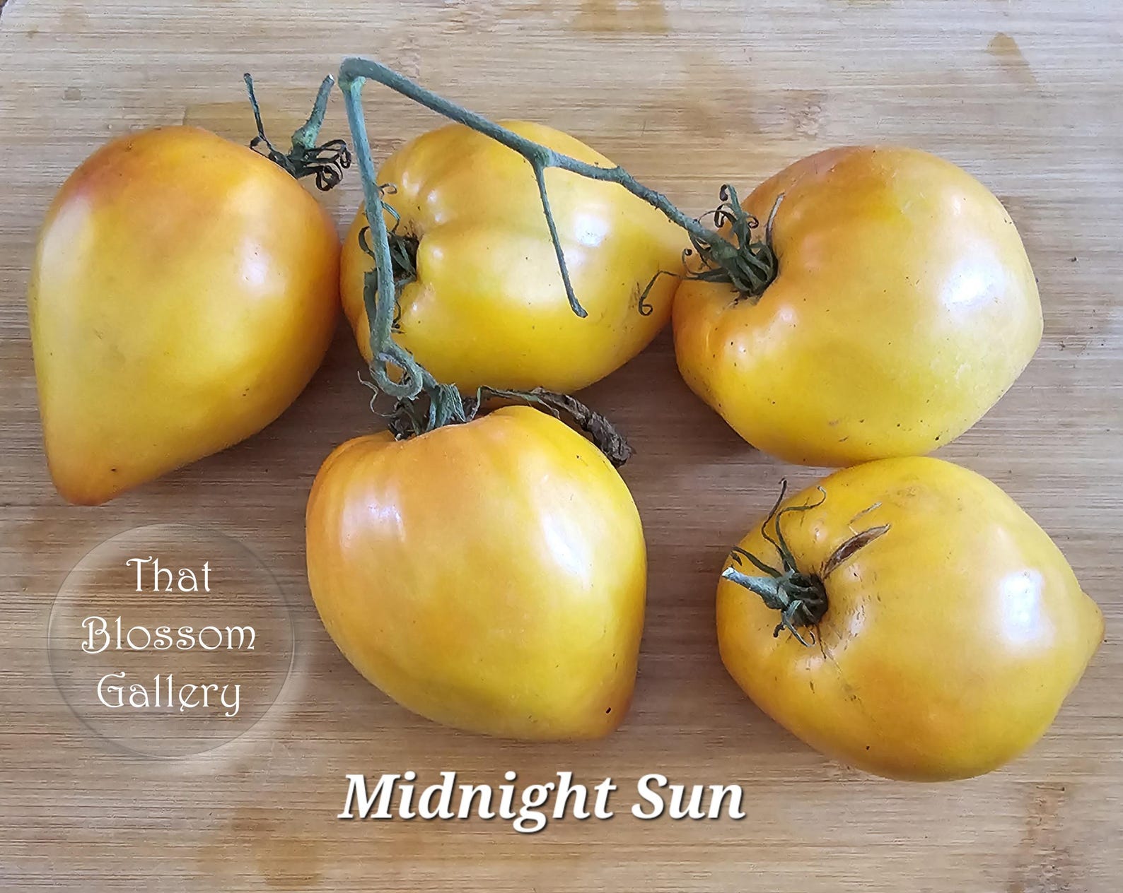 Midnight Sun Tomato, 20 Seeds - Etsy