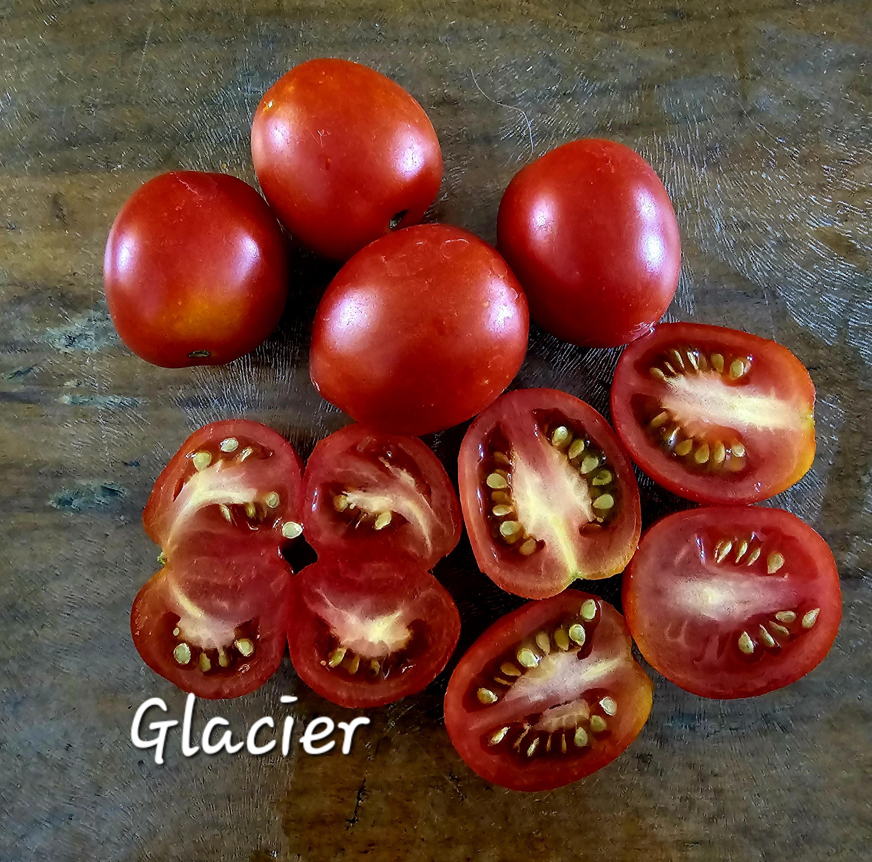Glacier Tomato Seeds - Etsy