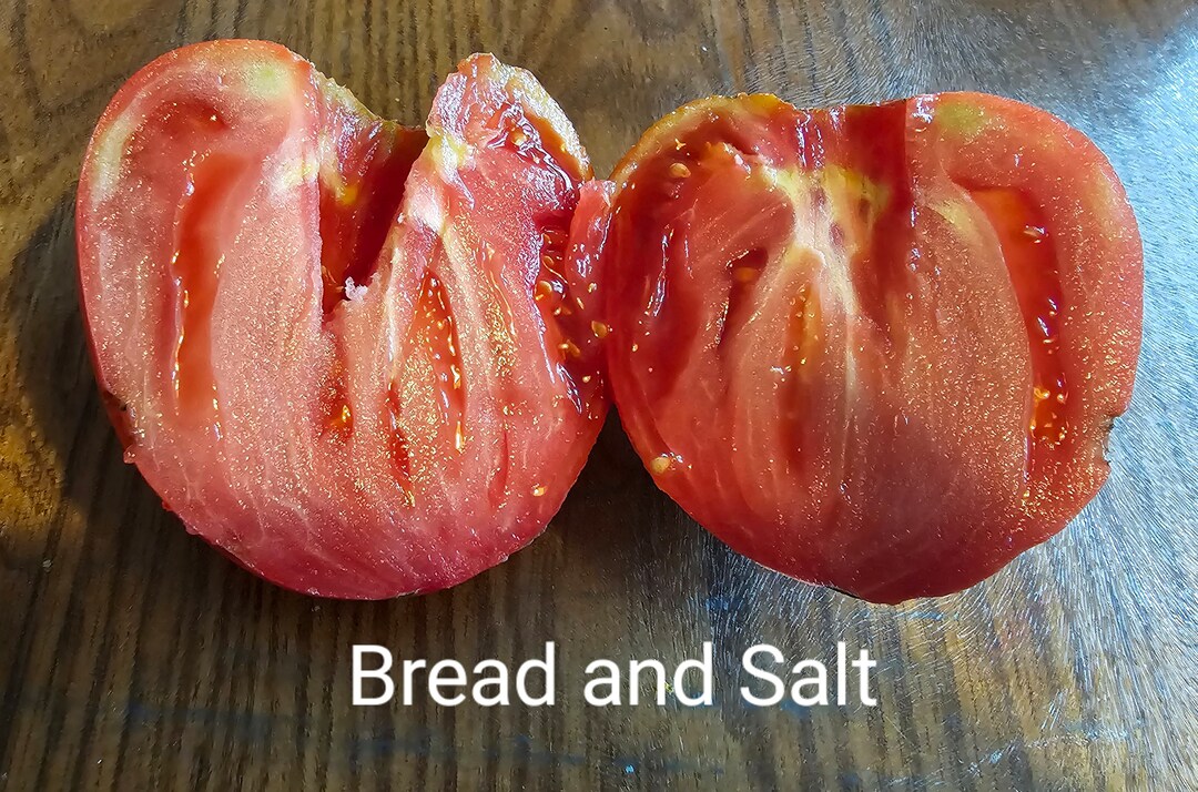 Bread and Salt Tomato - Etsy