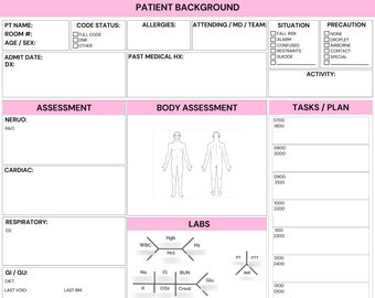 Color SBAR Nurse Report - Etsy